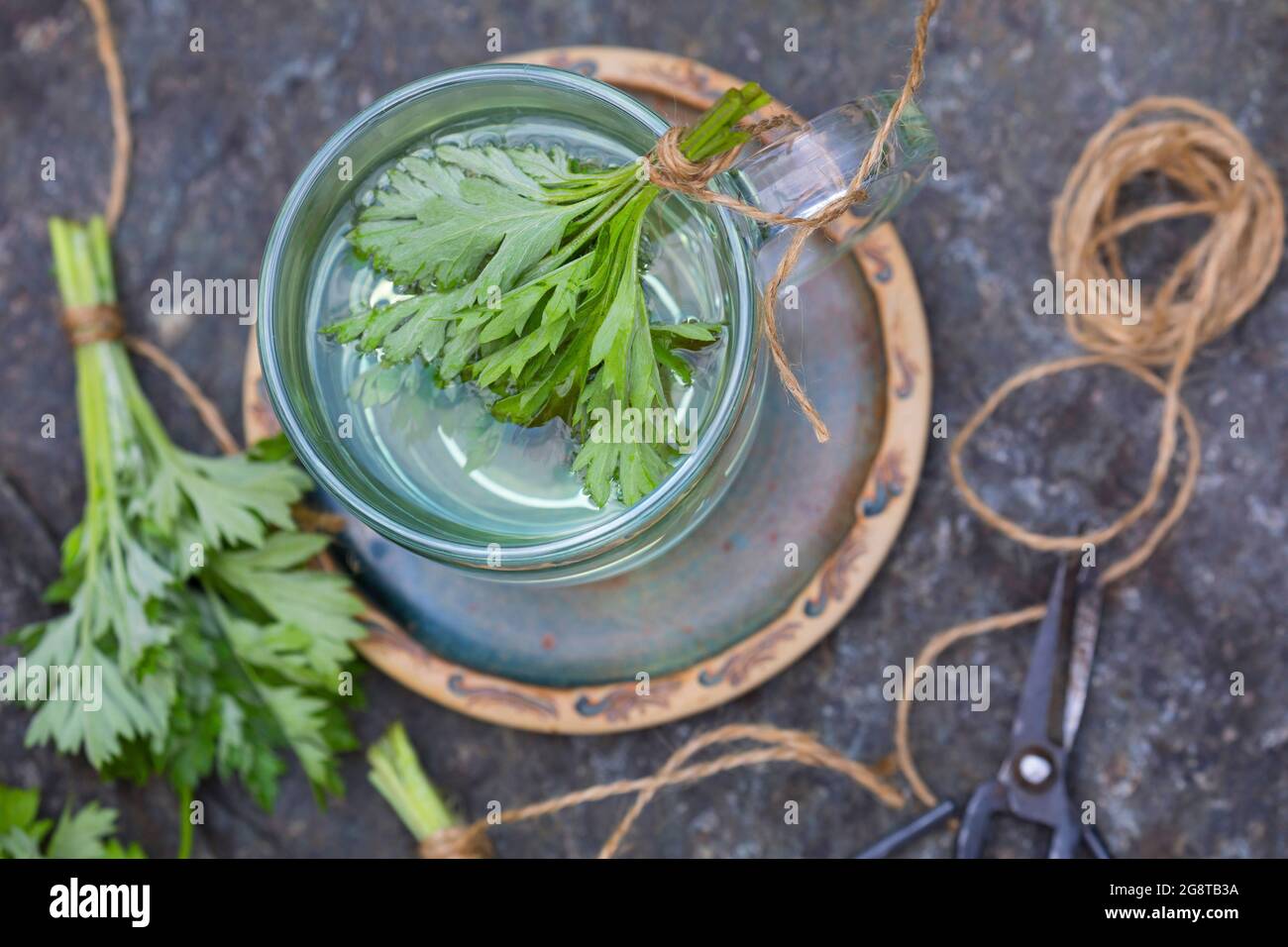 Wermut tees -Fotos und -Bildmaterial in hoher Auflösung – Alamy