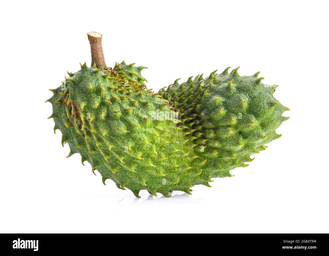 Soursop frucht -Fotos und -Bildmaterial in hoher Auflösung – Alamy