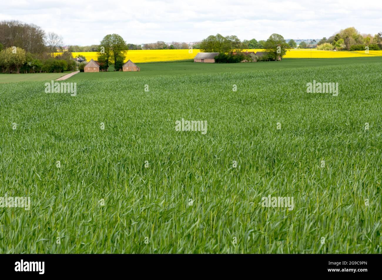 Insel ven schweden -Fotos und -Bildmaterial in hoher Auflösung – Alamy