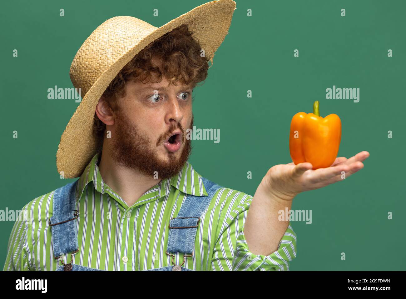 Meme Hintergrund Stockfotos und -bilder Kaufen - Alamy