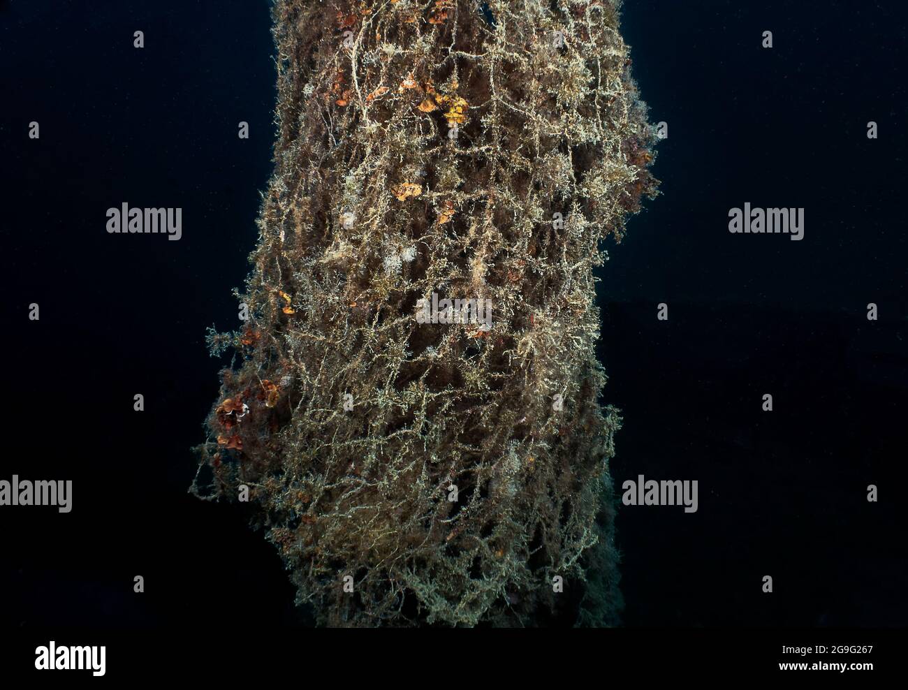 Ausrangierte fischernetze -Fotos und -Bildmaterial in hoher Auflösung ...