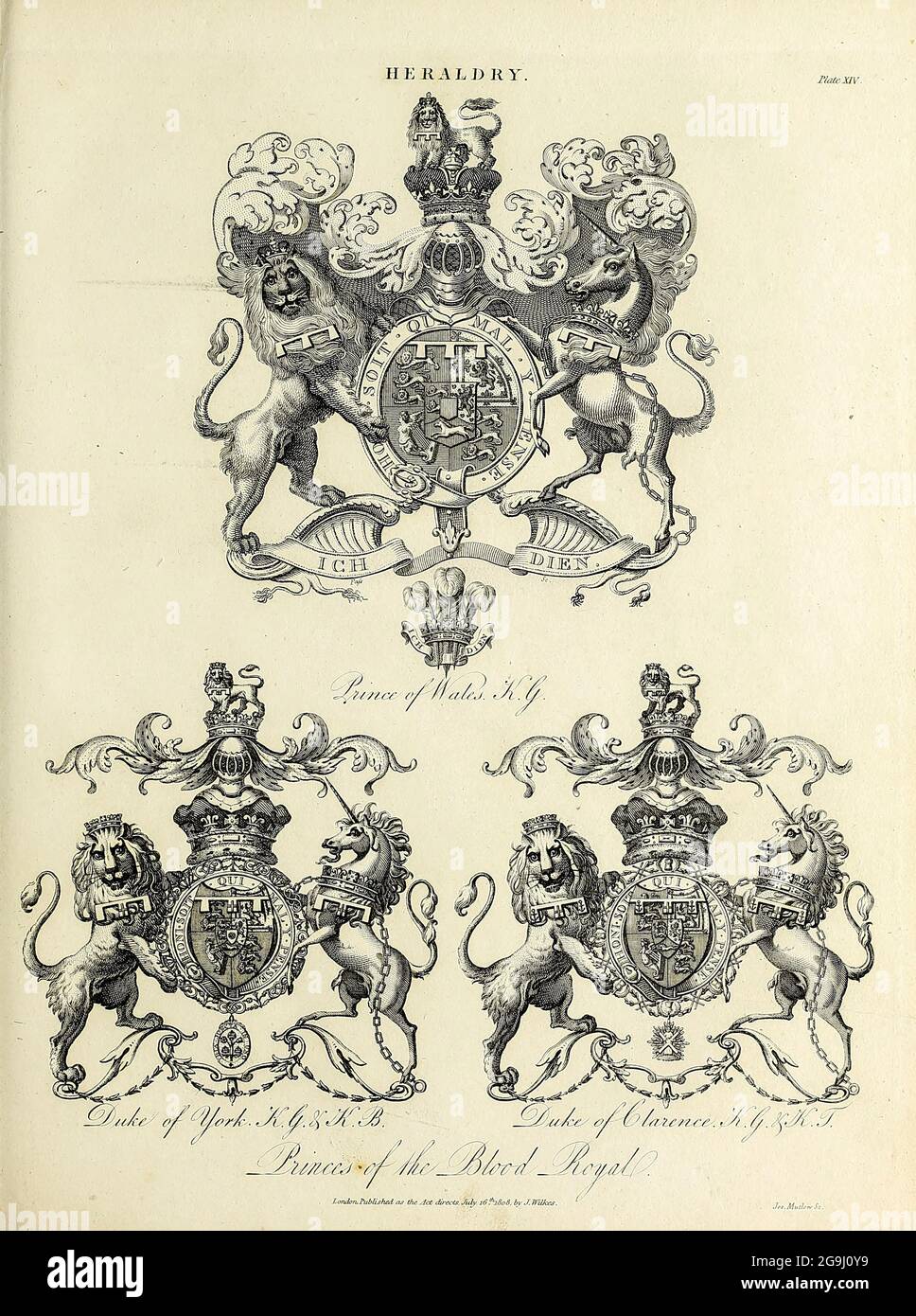Shield heraldry -Fotos und -Bildmaterial in hoher Auflösung – Alamy