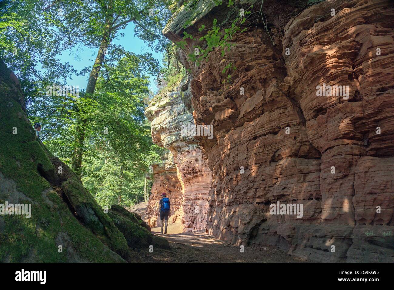 Altschloßfelsen eppenbrunn pfalz germany -Fotos und -Bildmaterial in ...