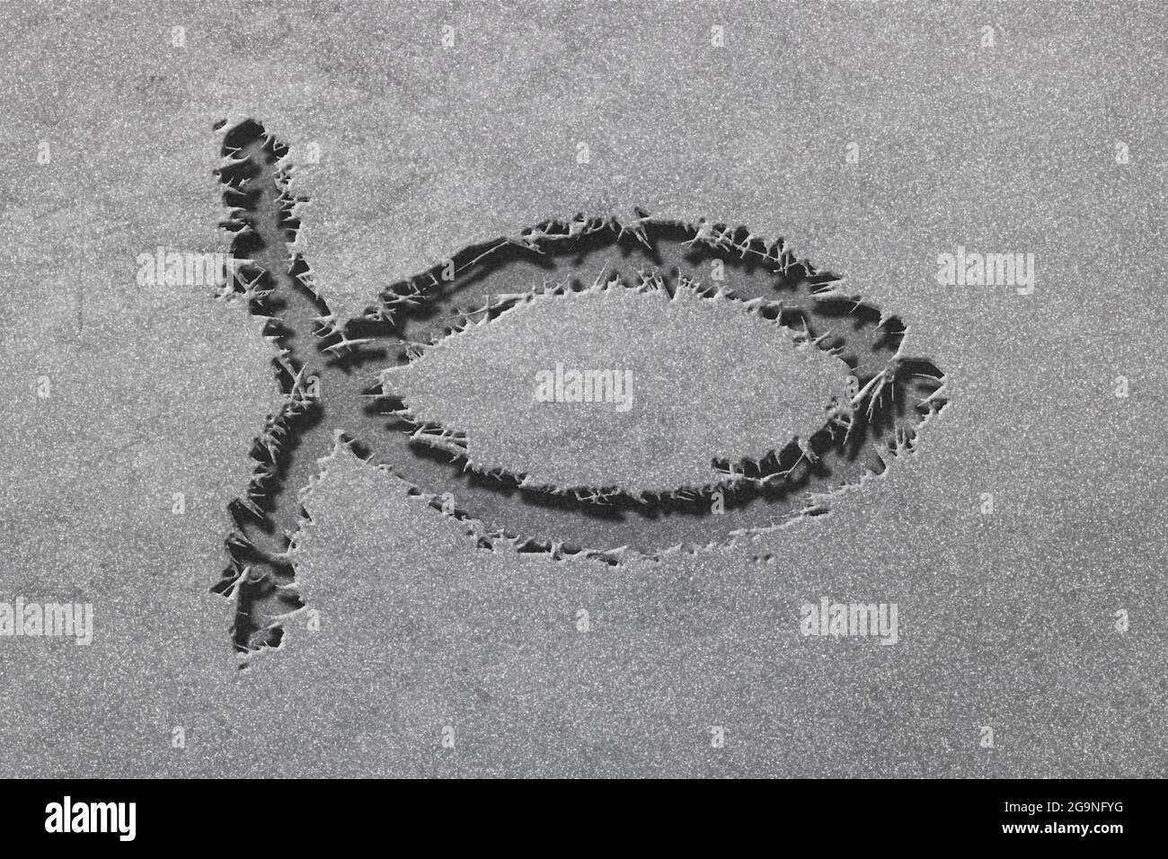 Christianity Symbol, Christian Fisch Symbol, robust, silbernen ...