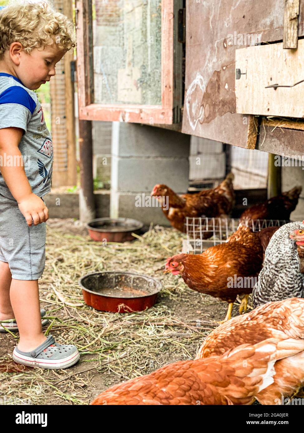 Hühnerstall Alt Fotos Und Bildmaterial In Hoher Auflösung Alamy