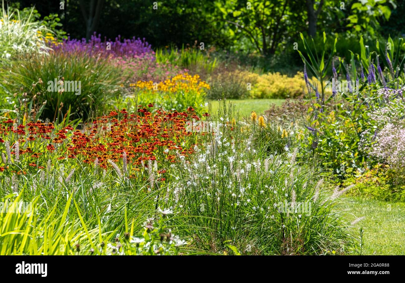 Wanderungen von bunten stauden -Fotos und -Bildmaterial in hoher ...