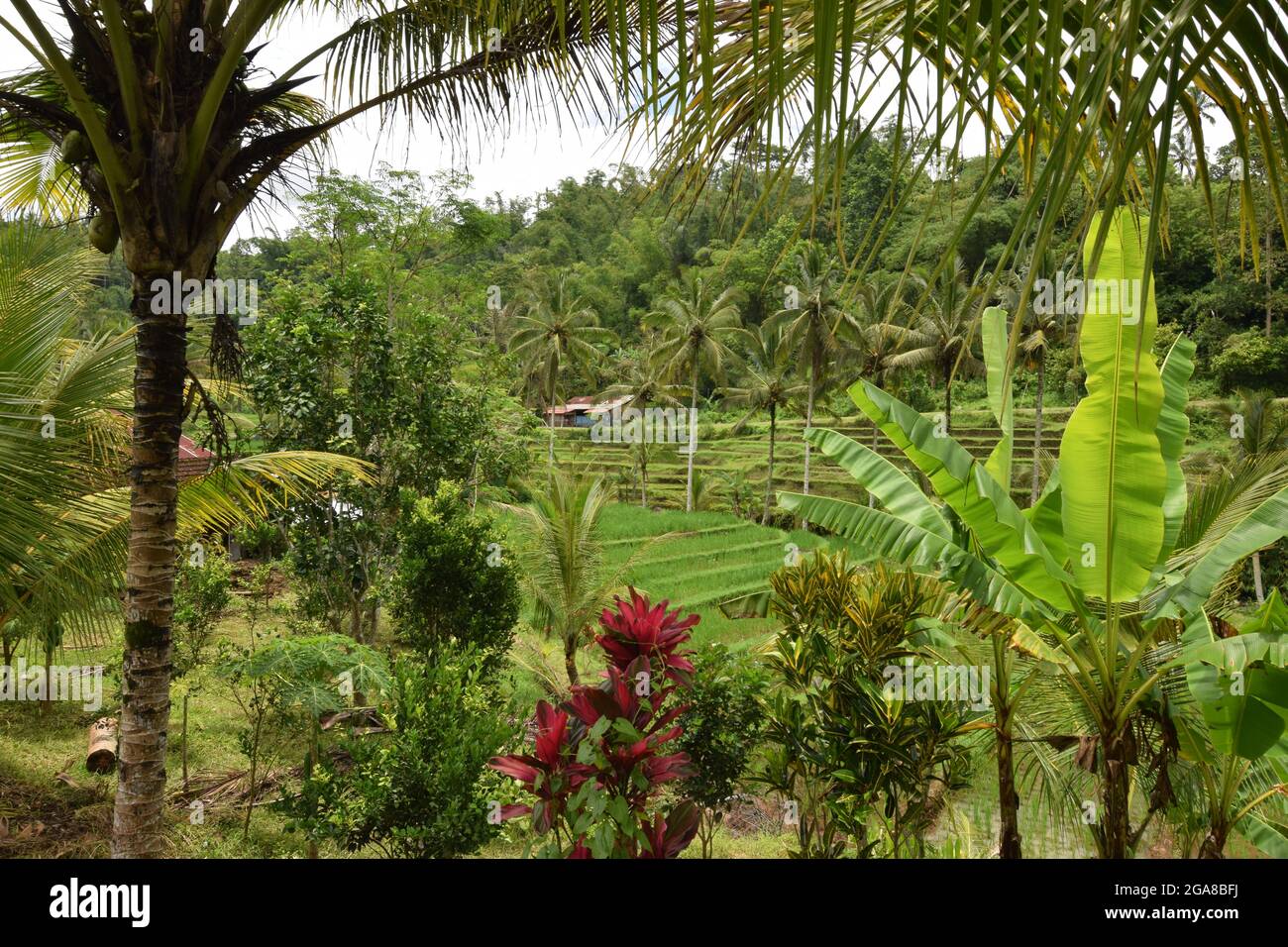 Grum dorf -Fotos und -Bildmaterial in hoher Auflösung – Alamy