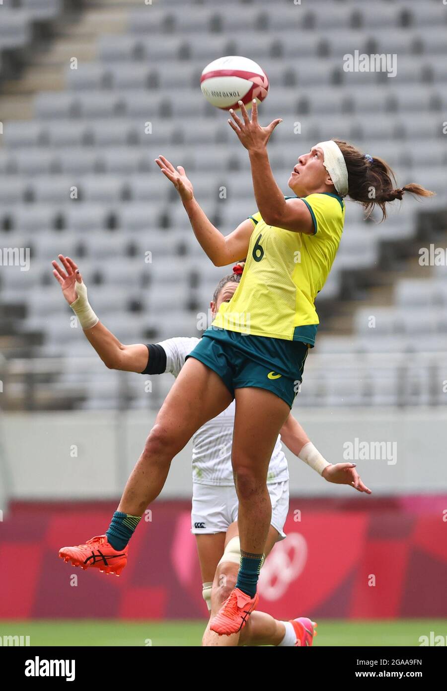 Evania pelite -Fotos und -Bildmaterial in hoher Auflösung – Alamy