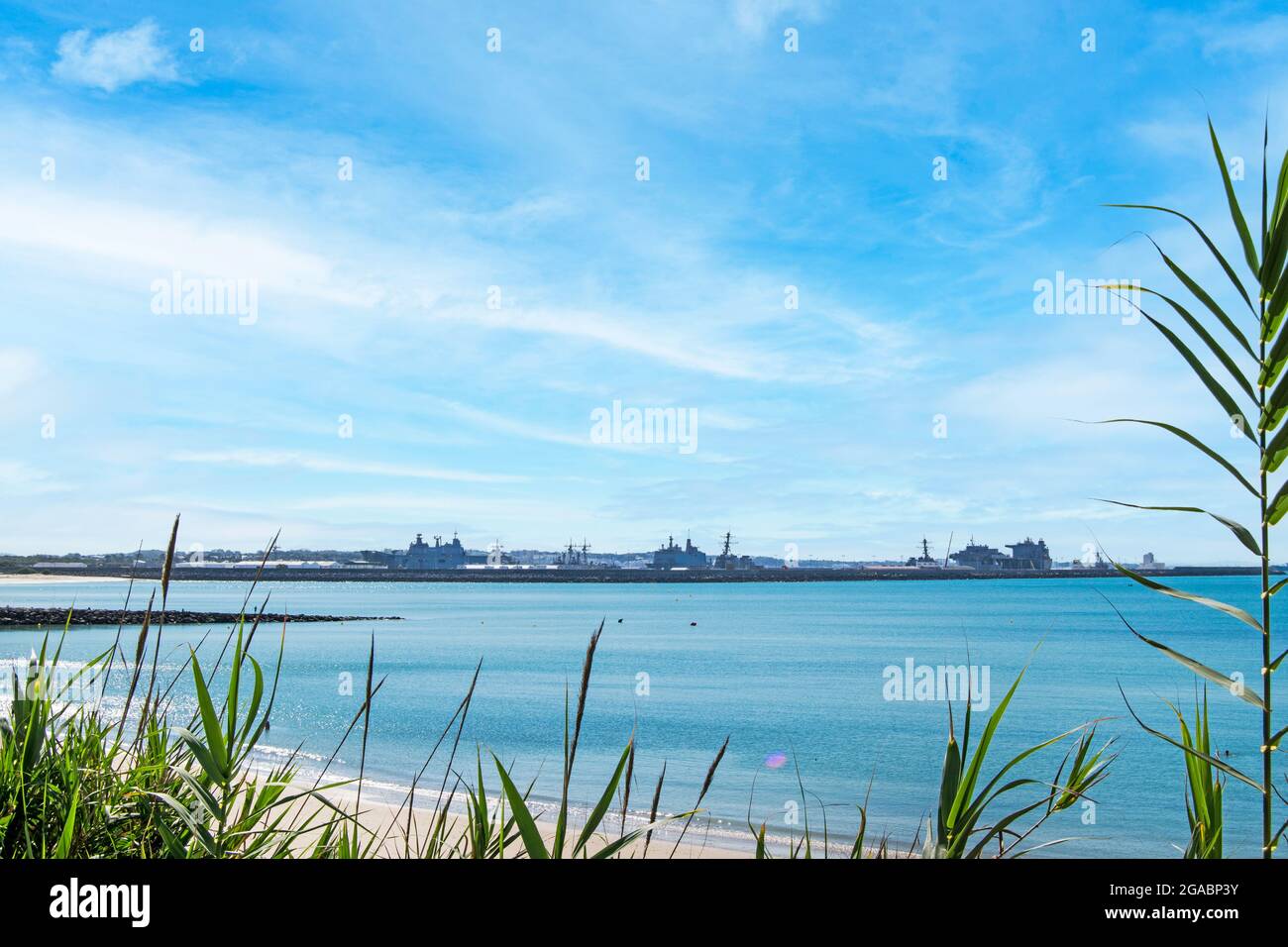 Vegetation am strand -Fotos und -Bildmaterial in hoher Auflösung – Alamy