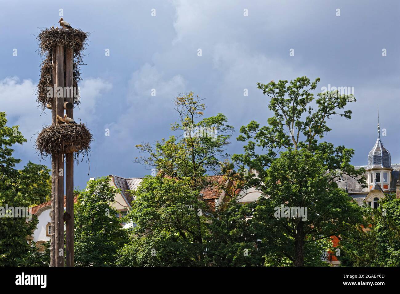 Symbol of alsace -Fotos und -Bildmaterial in hoher Auflösung – Alamy
