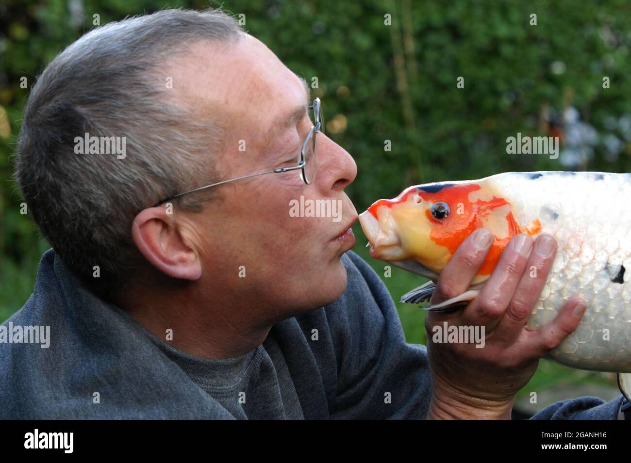 Scheinbar tot -Fotos und -Bildmaterial in hoher Auflösung – Alamy