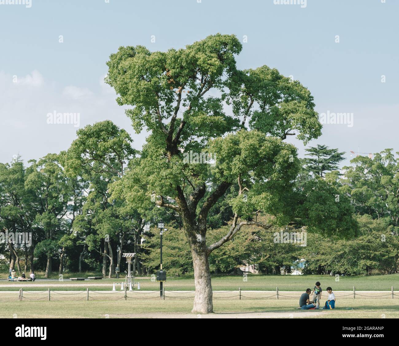 Ruhe unter dem baum -Fotos und -Bildmaterial in hoher Auflösung – Alamy