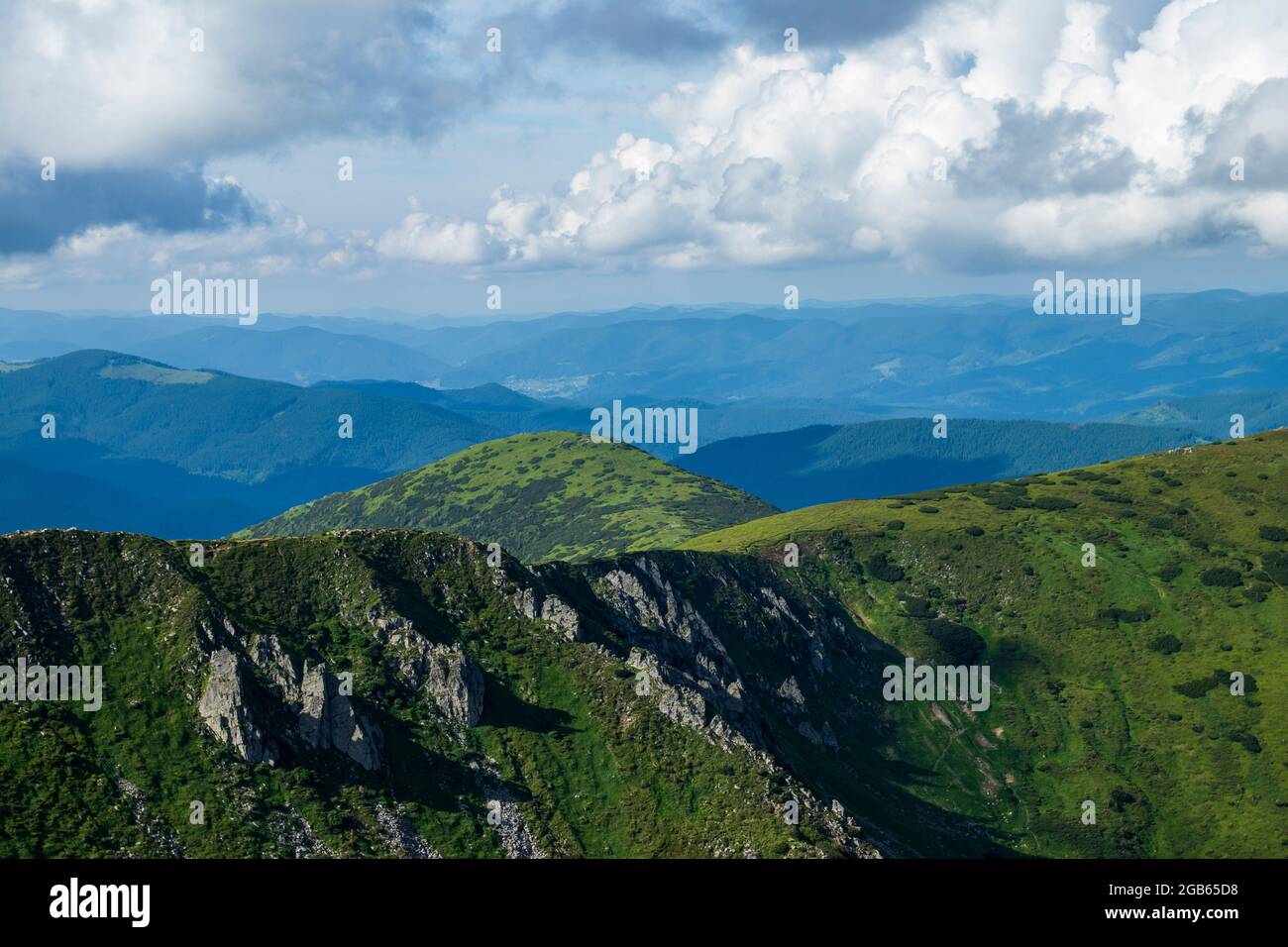 Berglandschaft. Bergkette. Grünes Gras, blaue Berge, Blumen und Nadeln ...