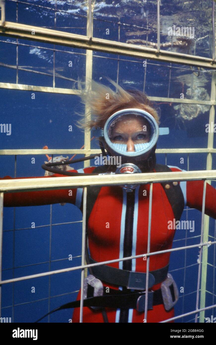 SPIEL MIT HAIEN: DIE GESCHICHTE VON VALERIE TAYLOR, Valerie Taylor ...