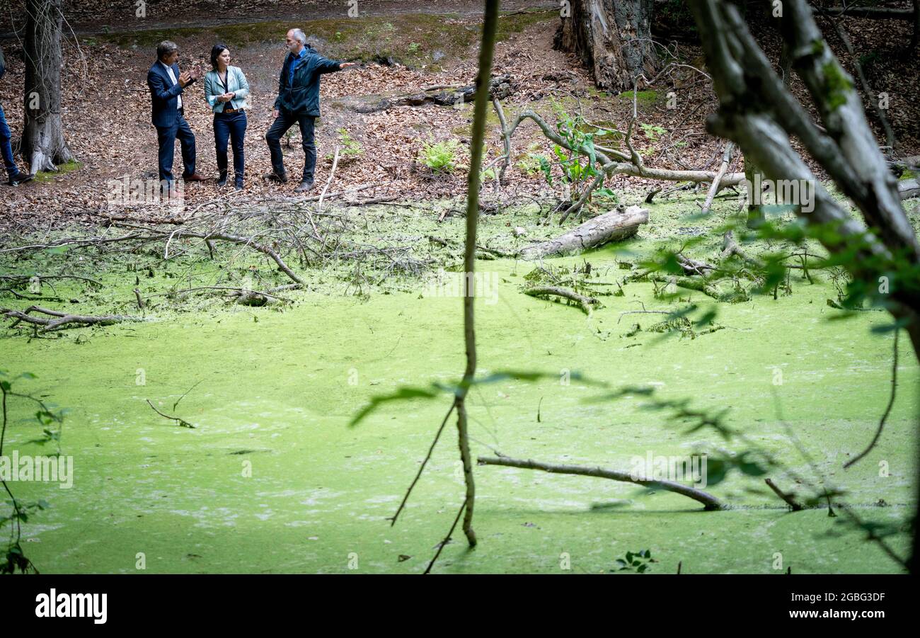 Biesenthal, Deutschland. August 2021. Annalena Baerbock, Kanzlerin und Bundesvorsitzende von B ...