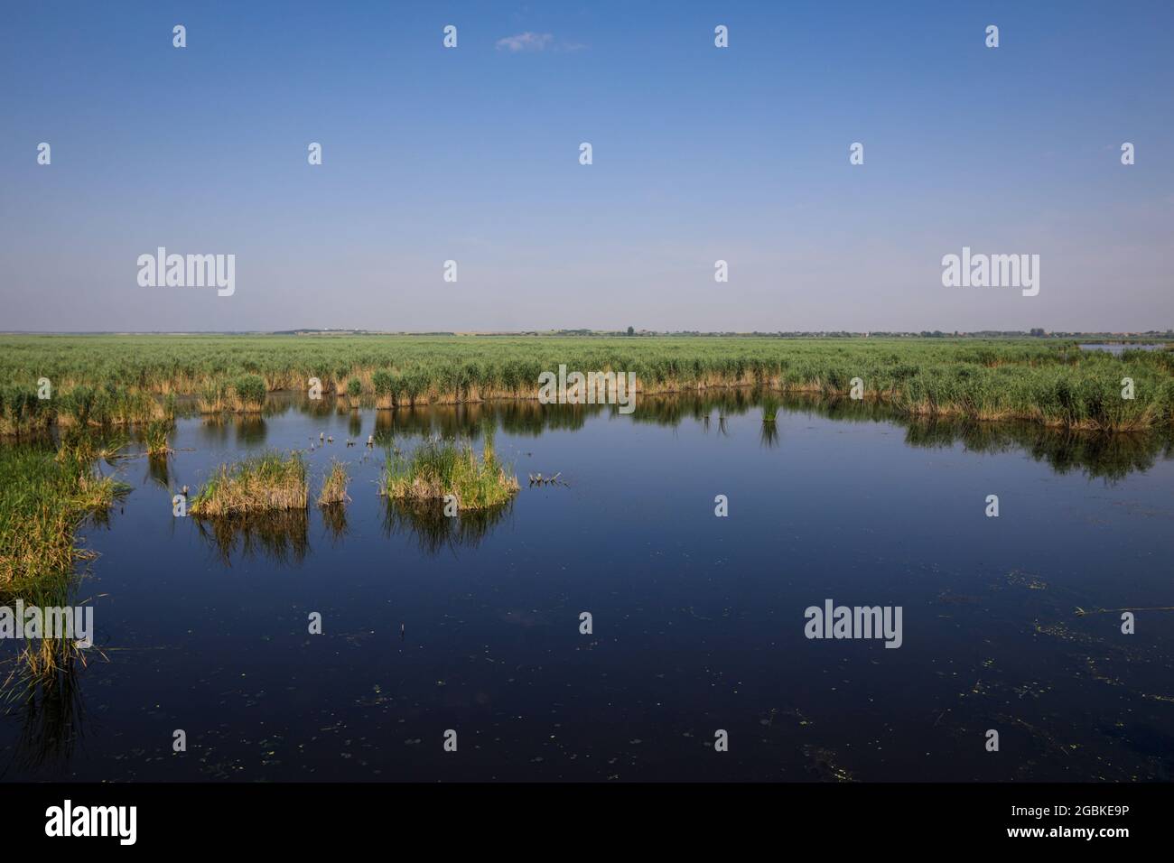 Delta natur -Fotos und -Bildmaterial in hoher Auflösung – Alamy