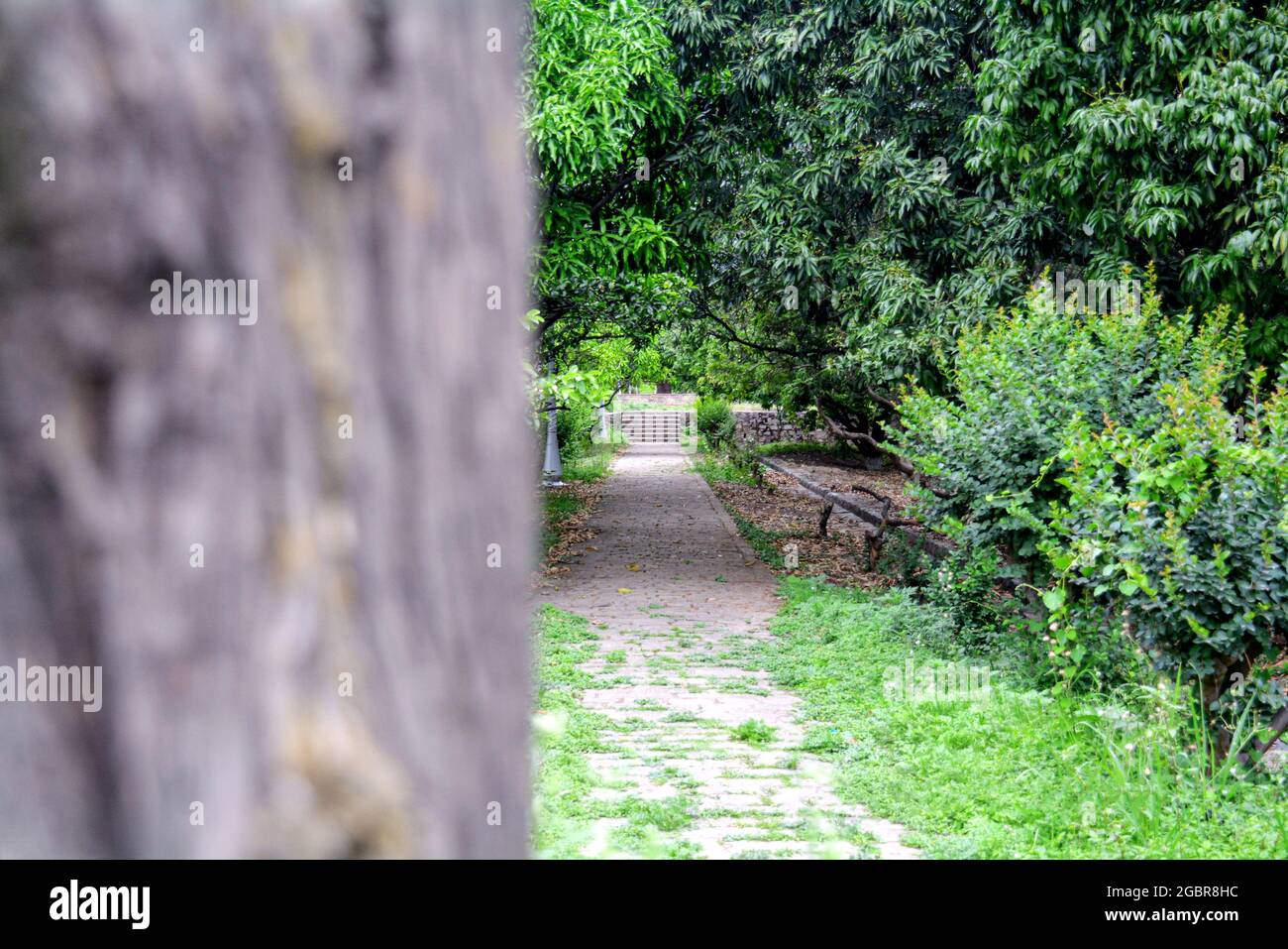 Pinjore park -Fotos und -Bildmaterial in hoher Auflösung – Alamy