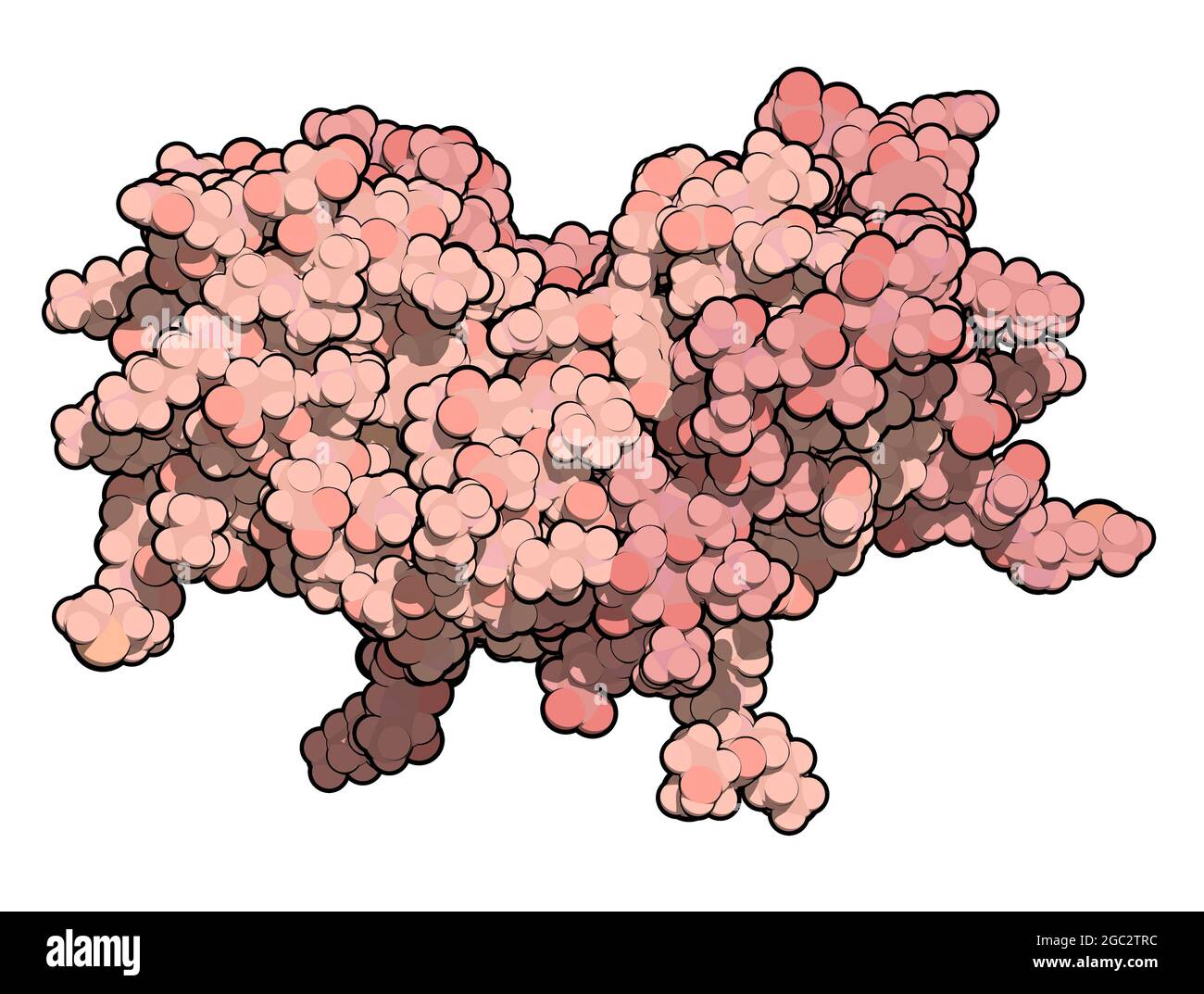 Interferon gamma -Fotos und -Bildmaterial in hoher Auflösung – Alamy