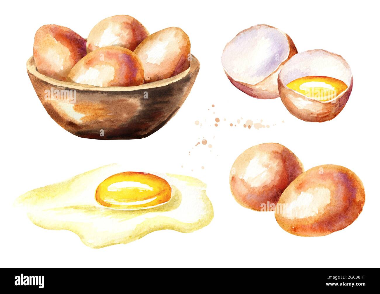 Eier gesetzt. Aquarell handgezeichnete Illustration isoliert auf weißem ...