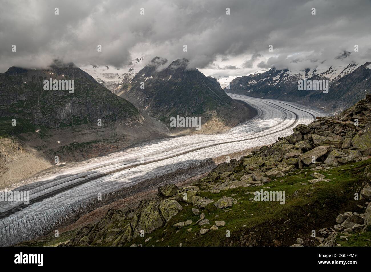 Großer Aletsch-Gletscher. Schweiz, Ostbernesische Alpen im Kanton ...