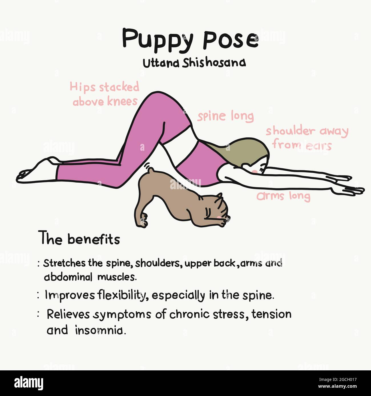 Welpen Yoga Pose und Vorteile Cartoon Vektor Illustration Stock ...