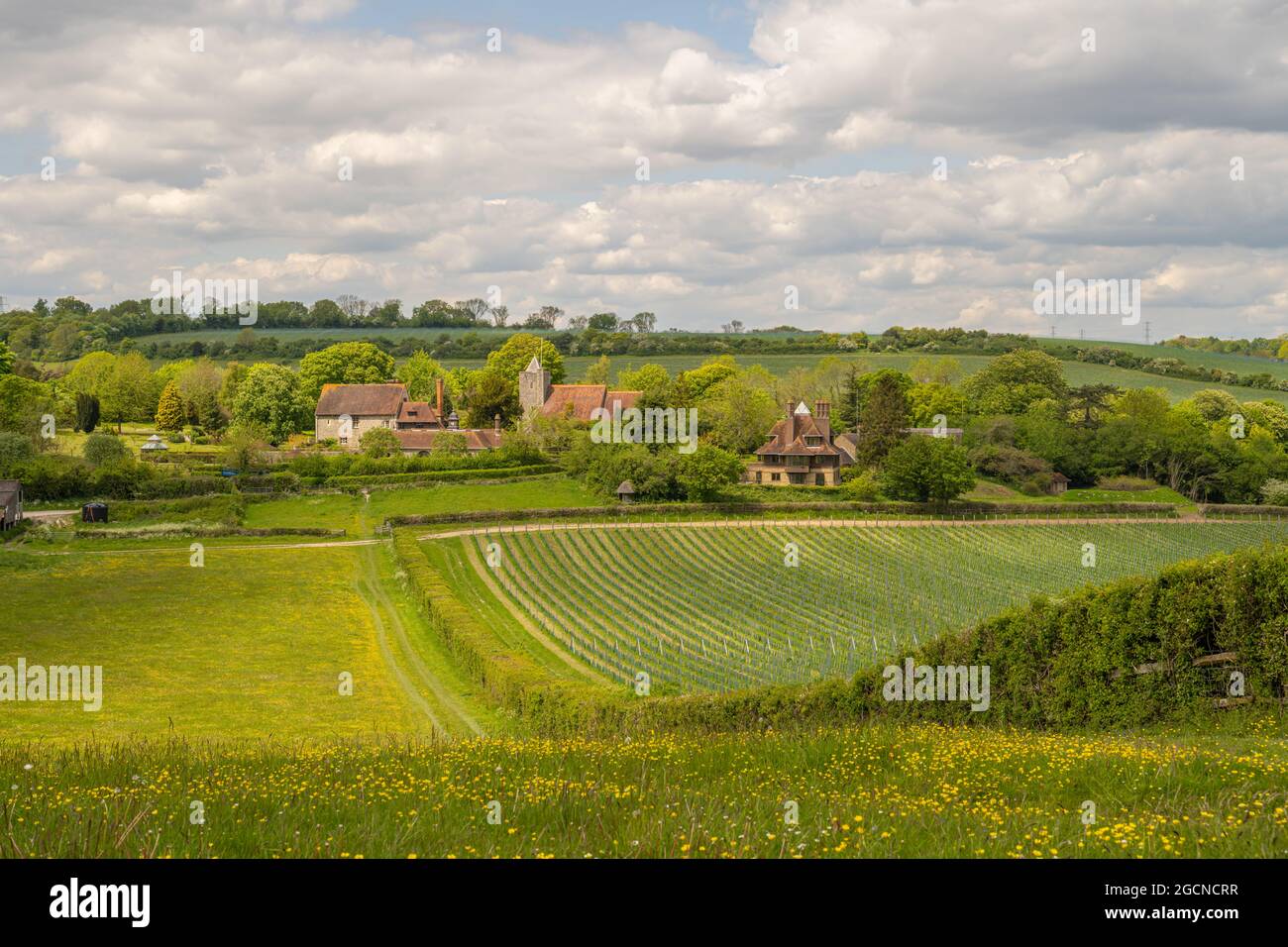 Petrus wine -Fotos und -Bildmaterial in hoher Auflösung - Seite 3 - Alamy
