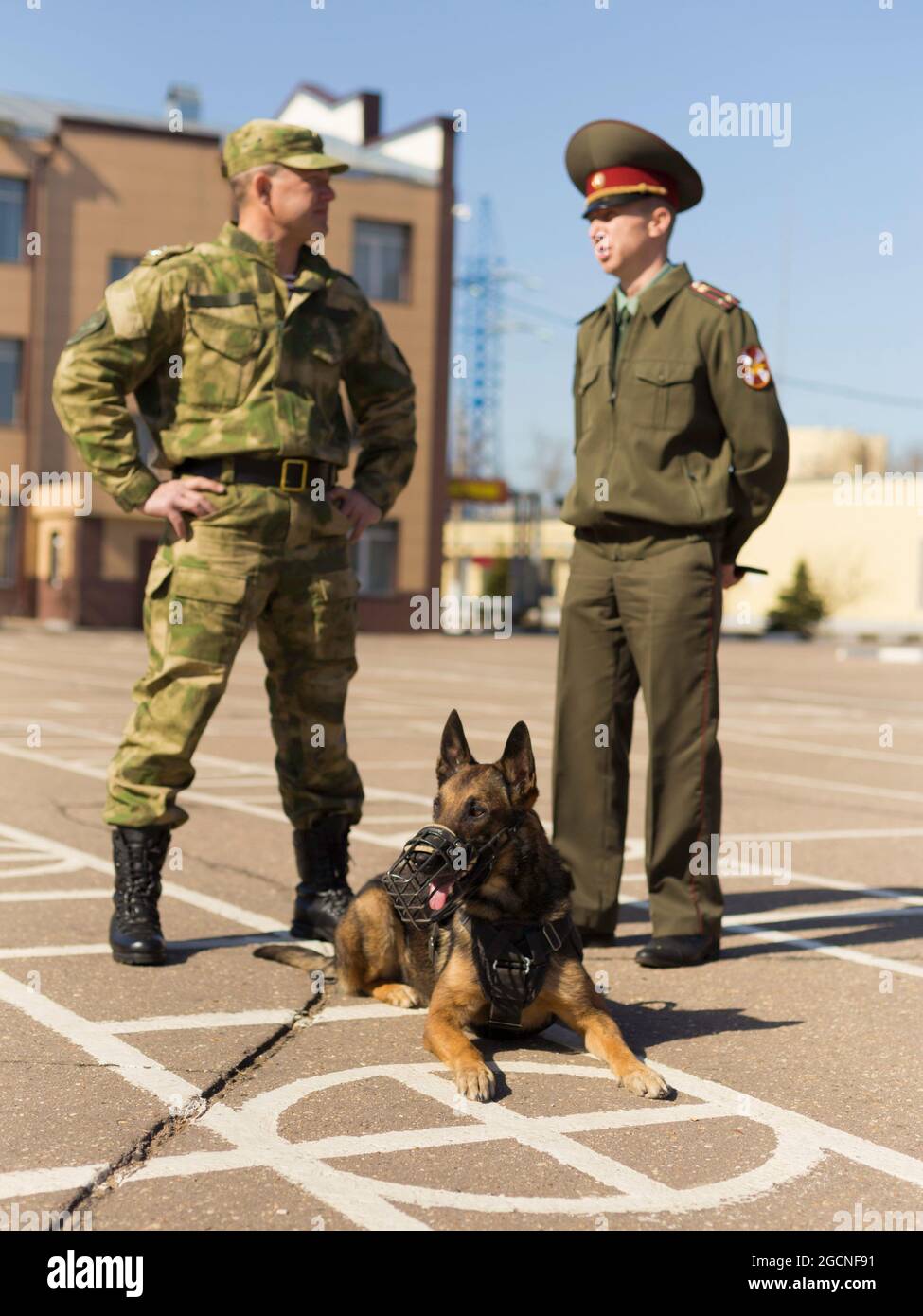 Kynologischer dienst -Fotos und -Bildmaterial in hoher Auflösung – Alamy