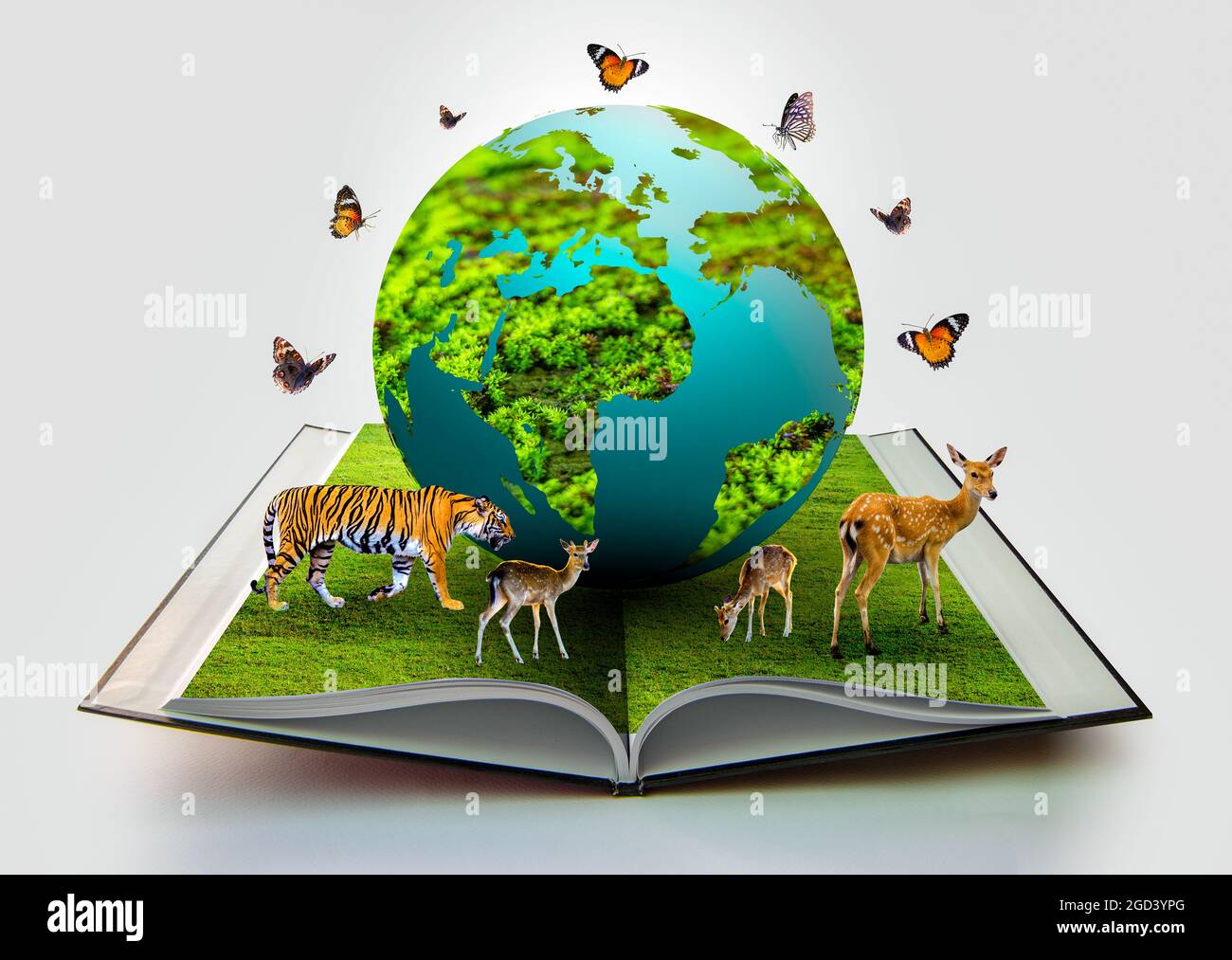 Klassenzimmer globus -Fotos und -Bildmaterial in hoher Auflösung – Alamy