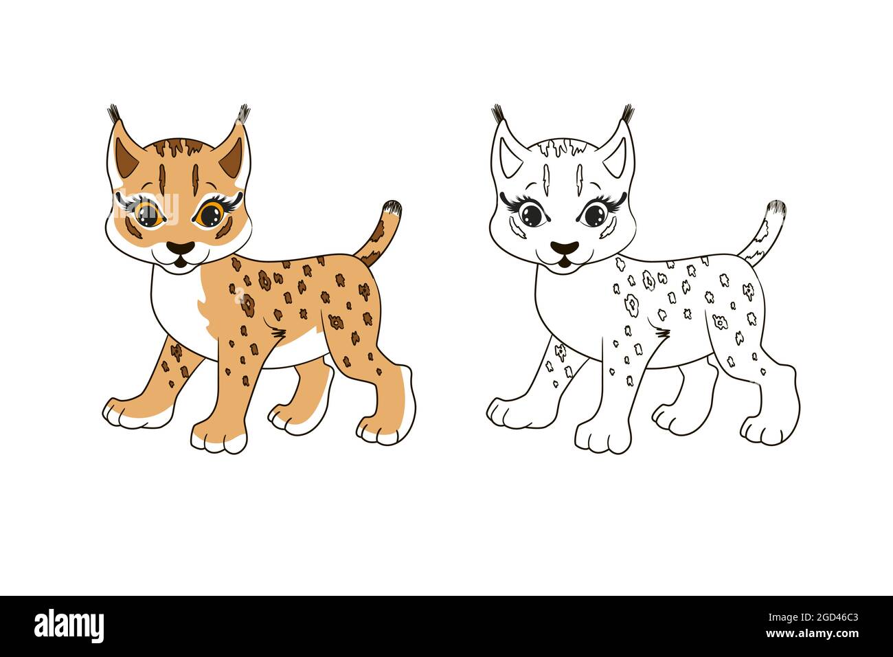 Kleiner süßer Luchs mit Quasten an den Ohren. Malseite für Kinder ...