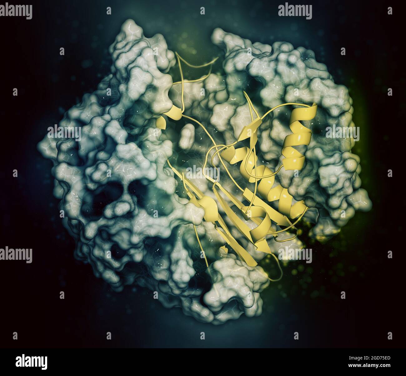 Gamma amino -Fotos und -Bildmaterial in hoher Auflösung – Alamy