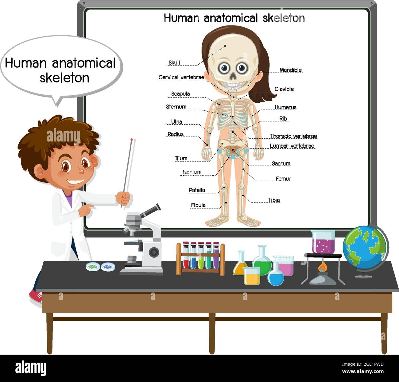 Vertebrae cervicales Stock-Vektorgrafiken kaufen - Alamy