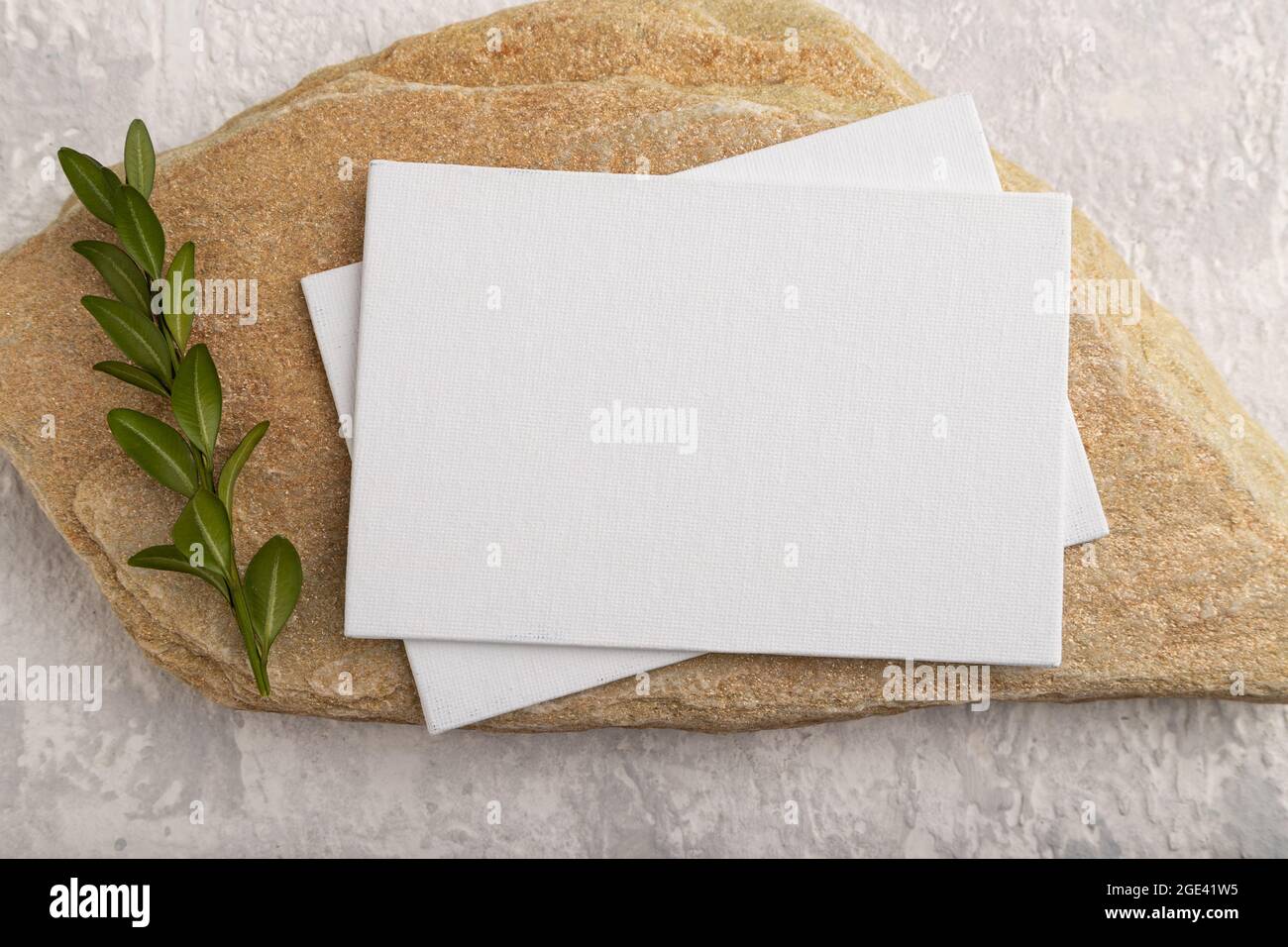 Weißes Papier Visitenkarte, Modell mit Naturstein und Buchsbaum Zweig ...