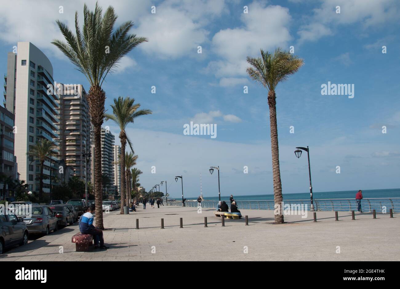 Palm trees beirut lebanon middle -Fotos und -Bildmaterial in hoher ...