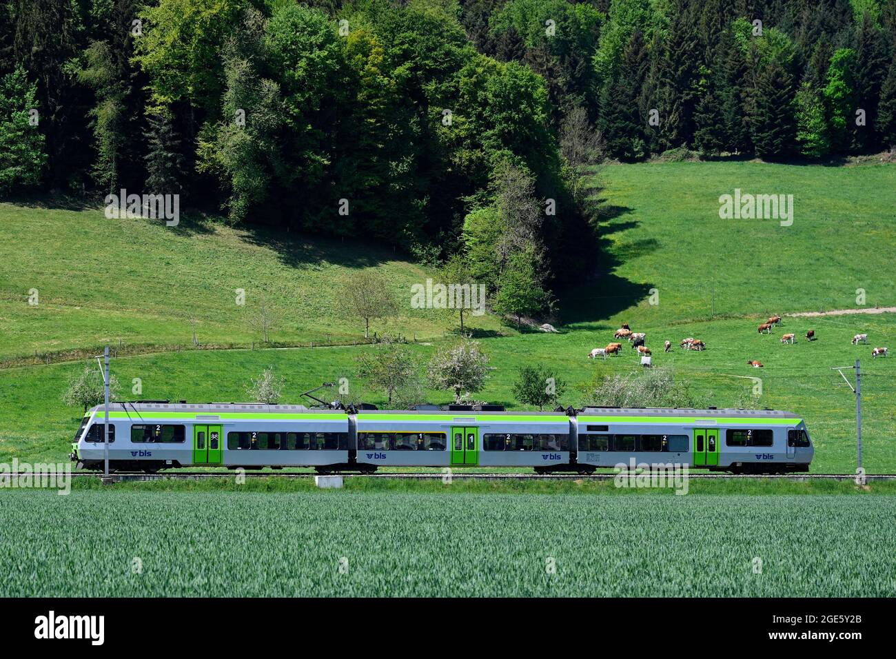 Regional rail -Fotos und -Bildmaterial in hoher Auflösung – Alamy