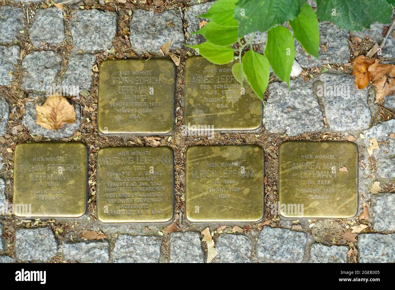 Stolpersteine ??in berlin -Fotos und -Bildmaterial in hoher Auflösung ...