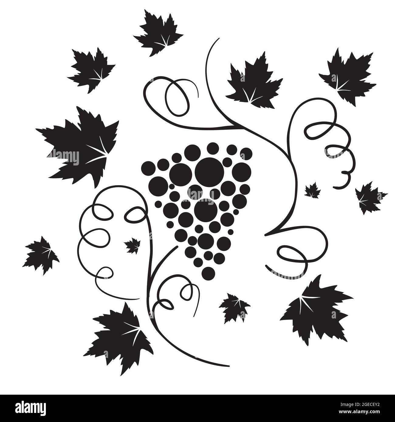 Grapevine vector vectors -Fotos und -Bildmaterial in hoher Auflösung ...