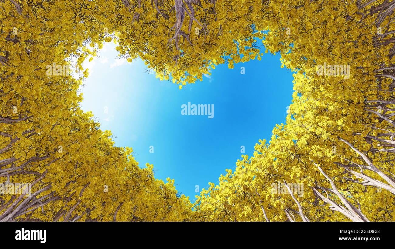 Konzept oder konzeptuelle Herzform Symbol aus Waldbaum Äste über einem ...