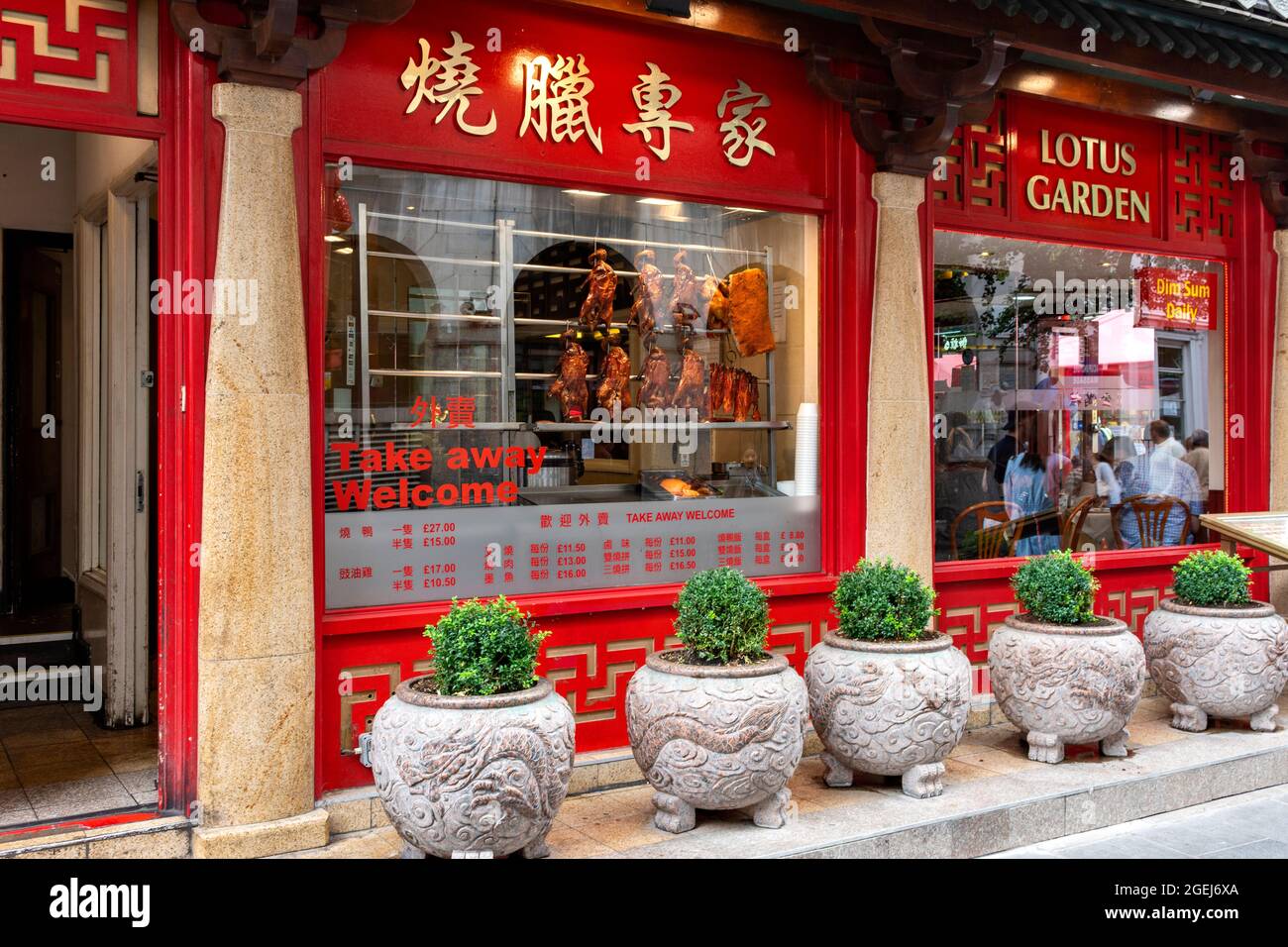 Lotus garden restaurant store
