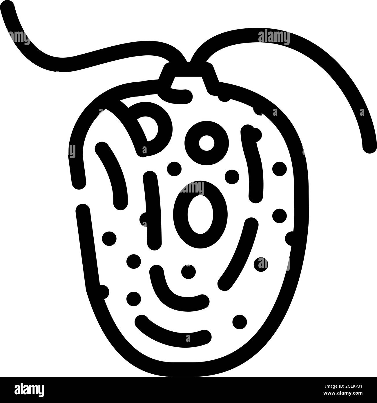 Chlamydomonas reinhardtii -Fotos und -Bildmaterial in hoher Auflösung ...