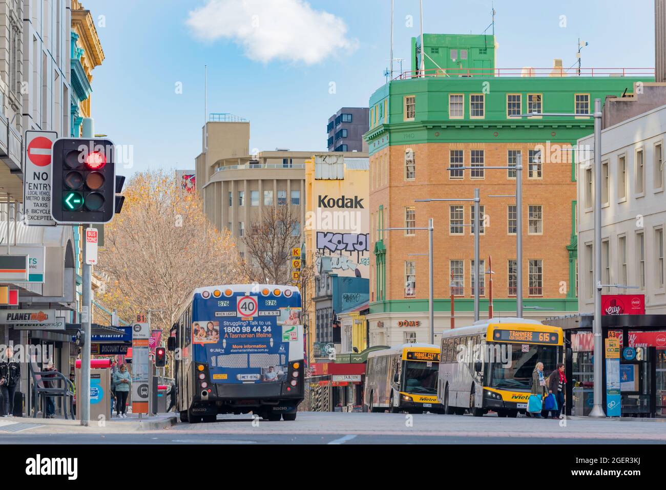 Tasmanische busse -Fotos und -Bildmaterial in hoher Auflösung – Alamy