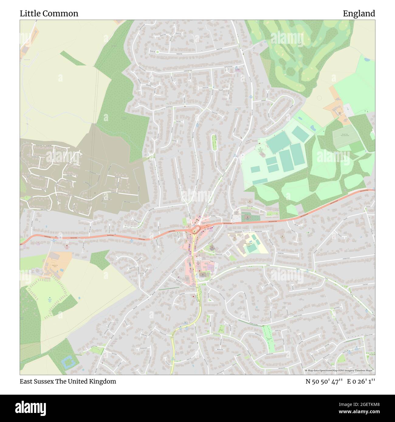Little Common, East Sussex, Großbritannien, England, N 50 50' 47'', E 0 ...