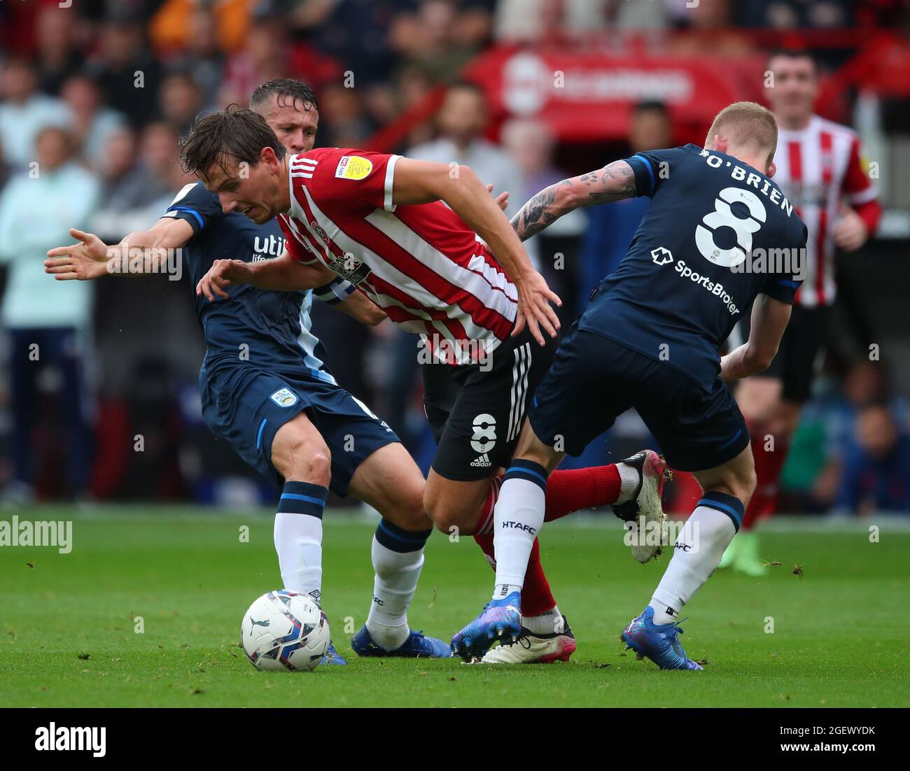 Sheffield, England, 21. August 2021. Sander Berge von Sheffield Utd ...
