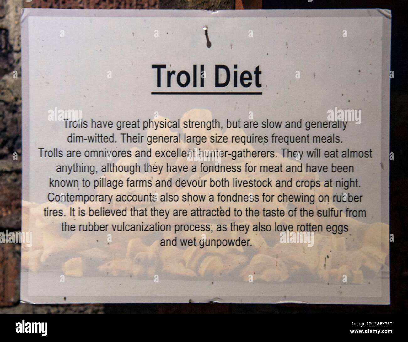 Alliance, Ohio, USA. August 2021. Das Troll Hole Museum, das vom ...