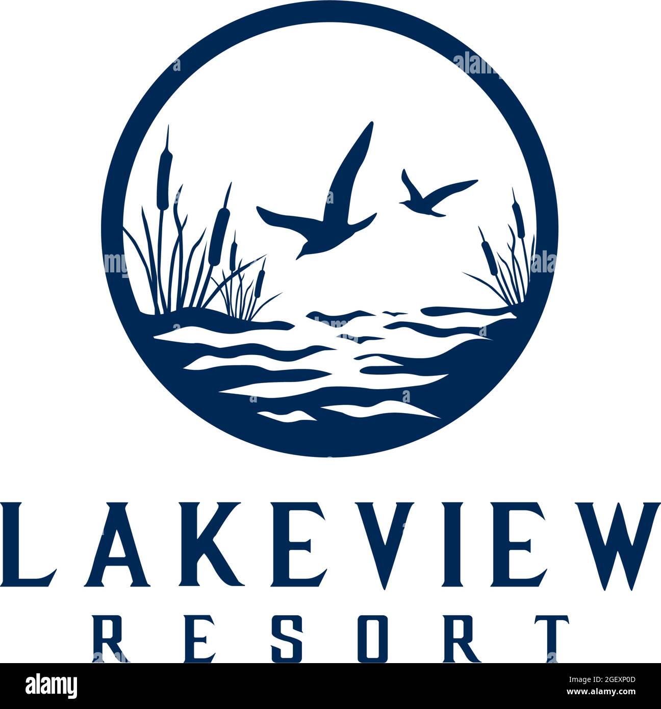 Möwe fliegt über das wasser Ausgeschnittene Stockfotos und -bilder - Alamy