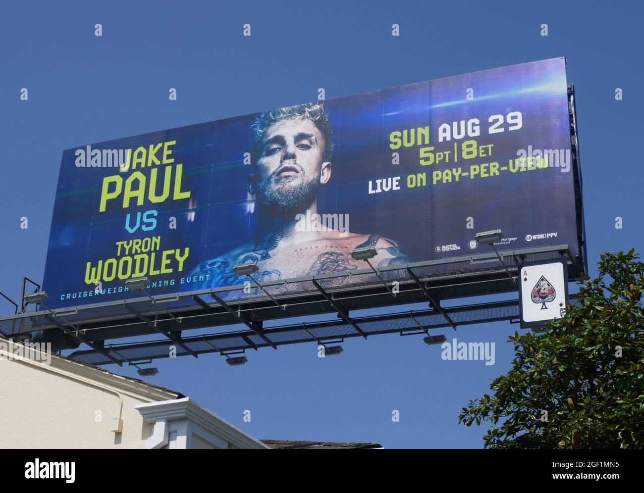 Jake Paul 2021 Stockfotos und -bilder Kaufen - Alamy