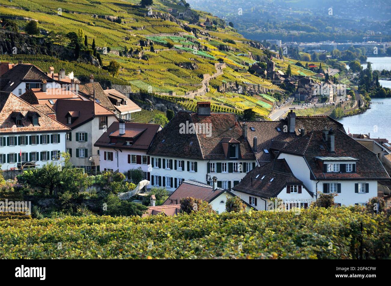Lavaux unesco welterbe region -Fotos und -Bildmaterial in hoher ...