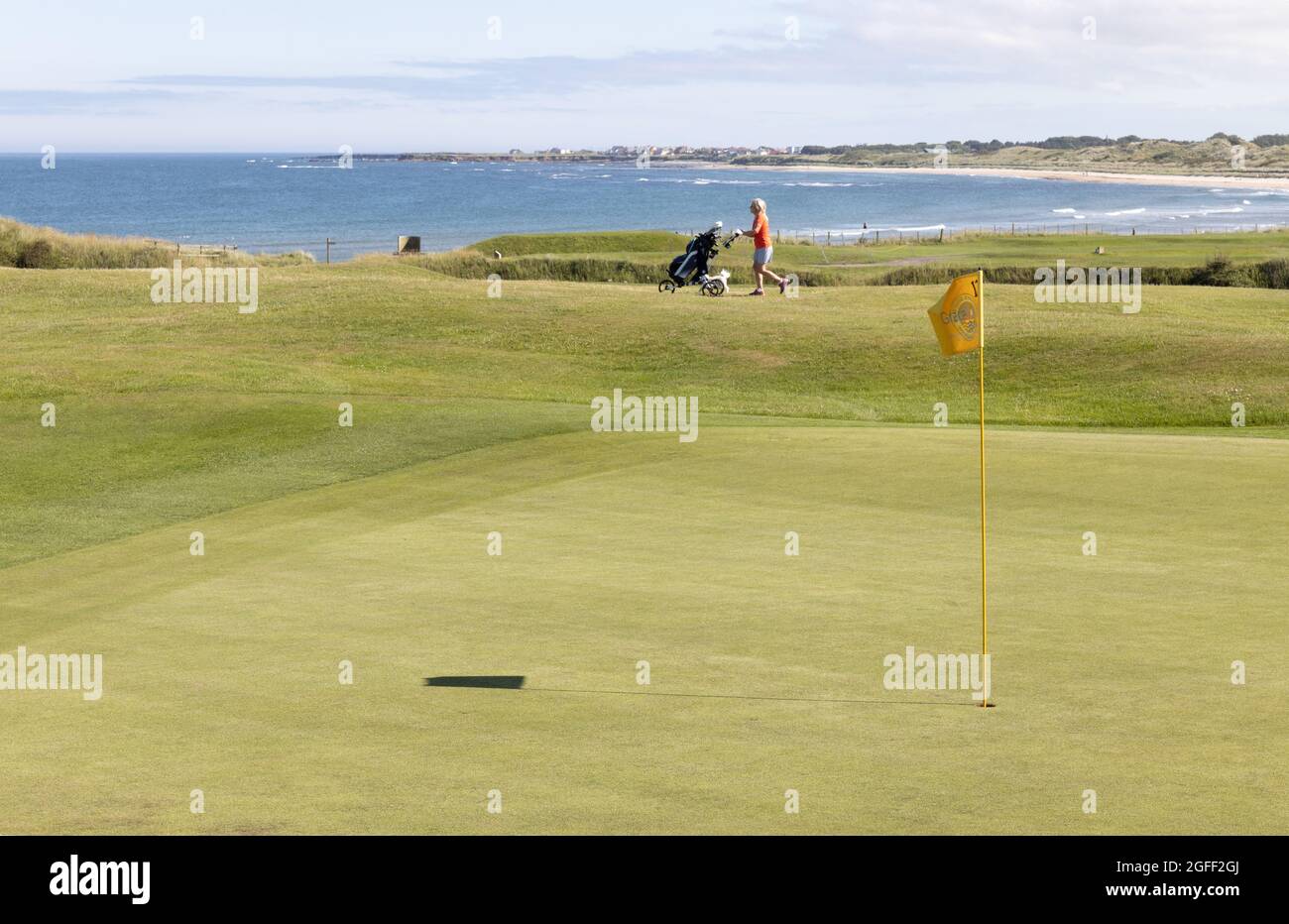 Seahouses golfplatz direkt am meer -Fotos und -Bildmaterial in hoher ...
