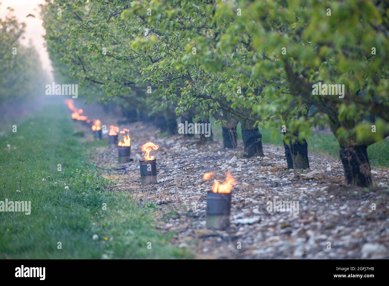 Anti frost -Fotos und -Bildmaterial in hoher Auflösung – Alamy