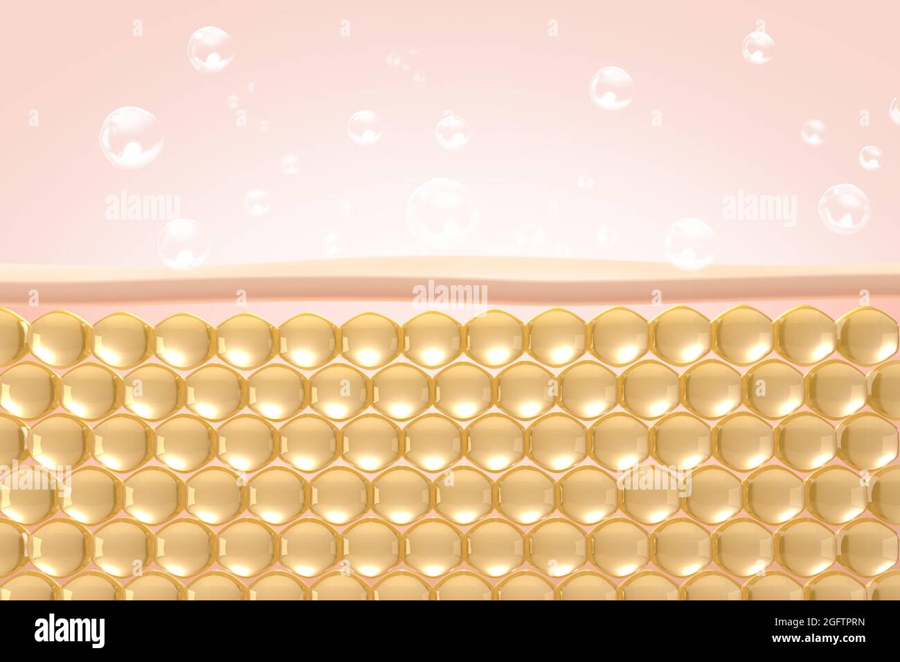 Collagen fibre -Fotos und -Bildmaterial in hoher Auflösung – Alamy