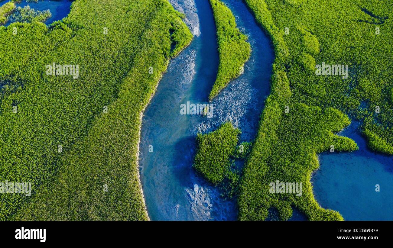 Marschland north carolina -Fotos und -Bildmaterial in hoher Auflösung ...